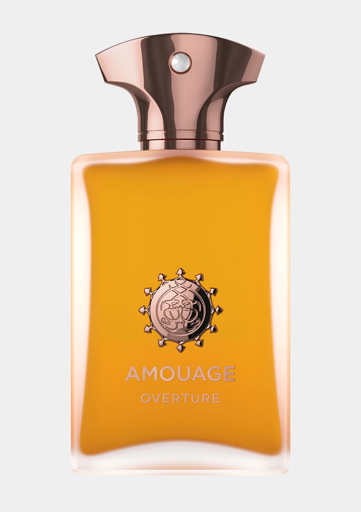 Amouage Overture for Men EDP 100mL | WholesaleKW